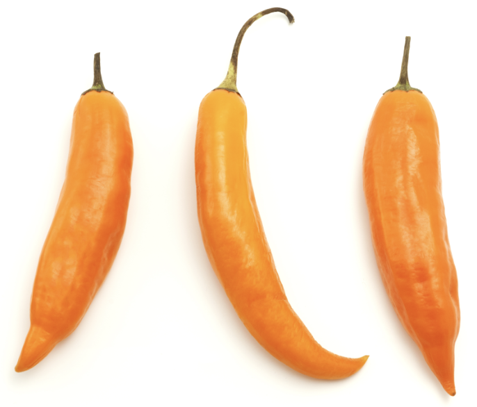 Chile Peruano (kg) | Organic Nosara